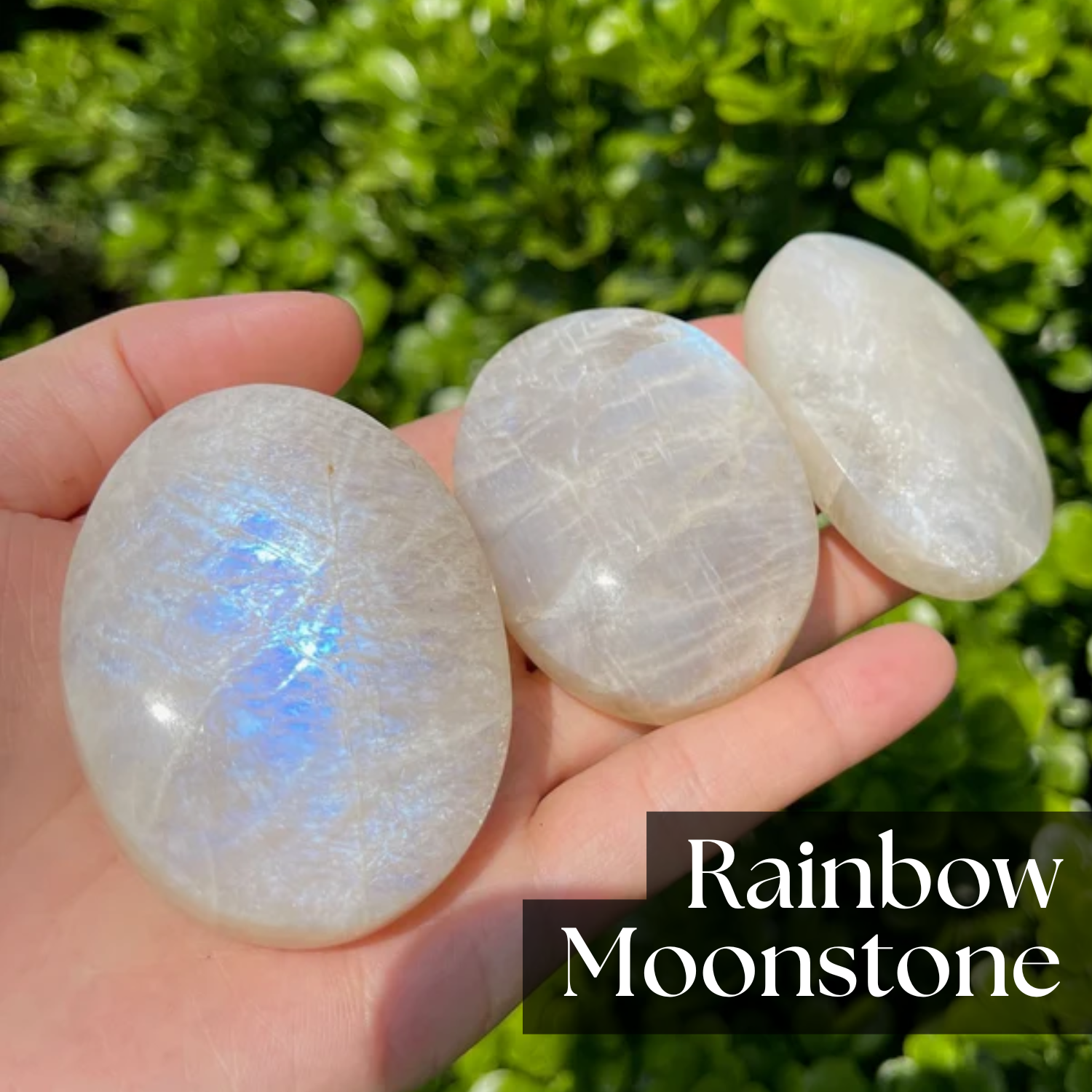 Rainbow Moonstone - Gemaltic